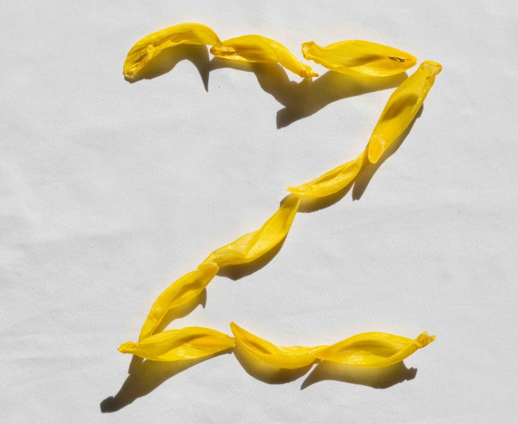 What Is Z Weight Loss Separating Fact From Fiction 2024